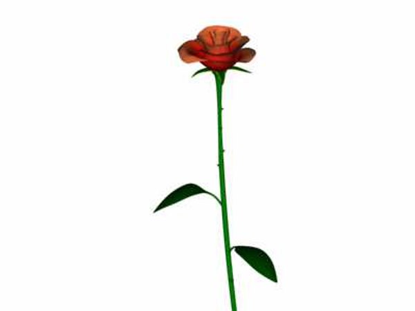 Free Rose 3D Models for Download | TurboSquid