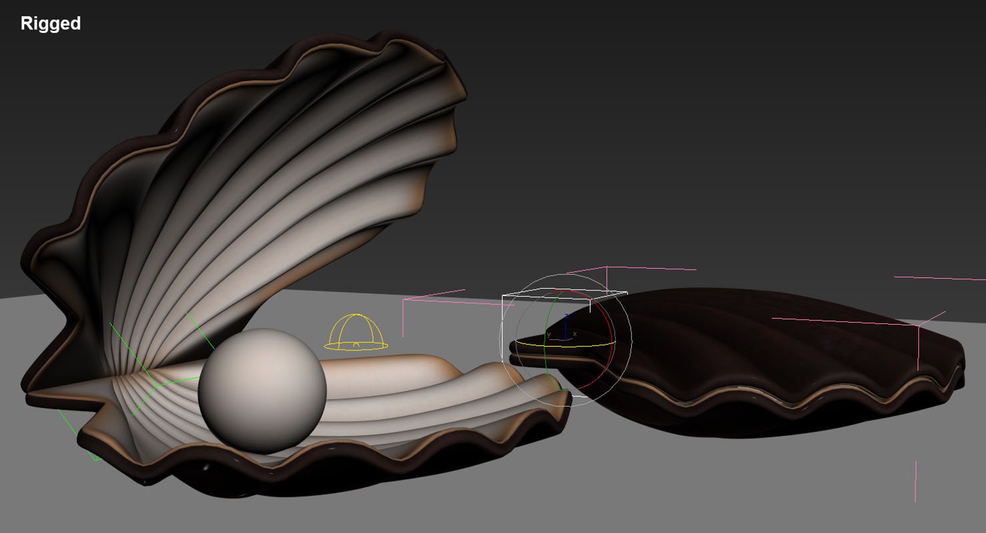 pearl shell animation 3d max