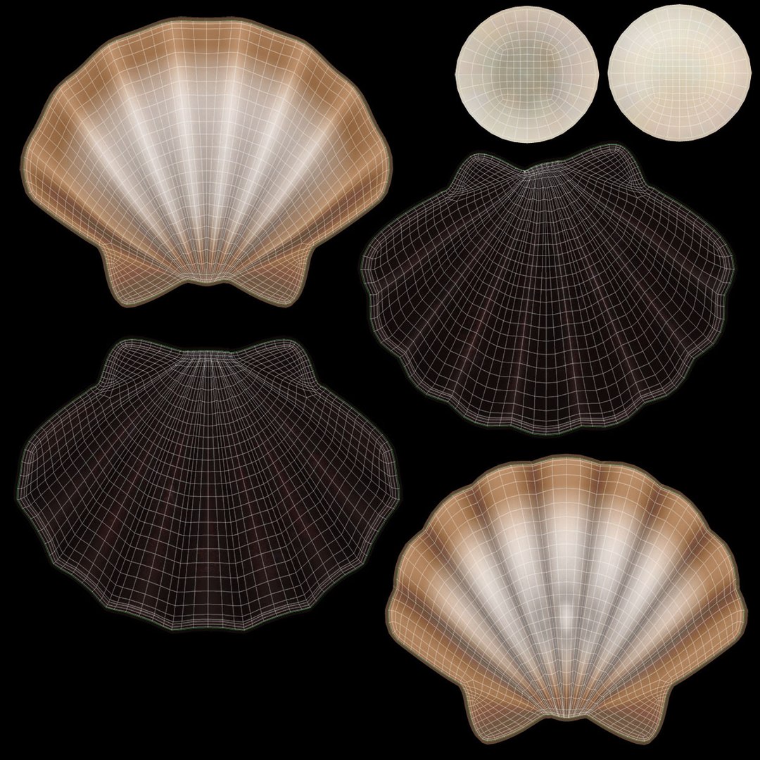 pearl shell animation 3d max