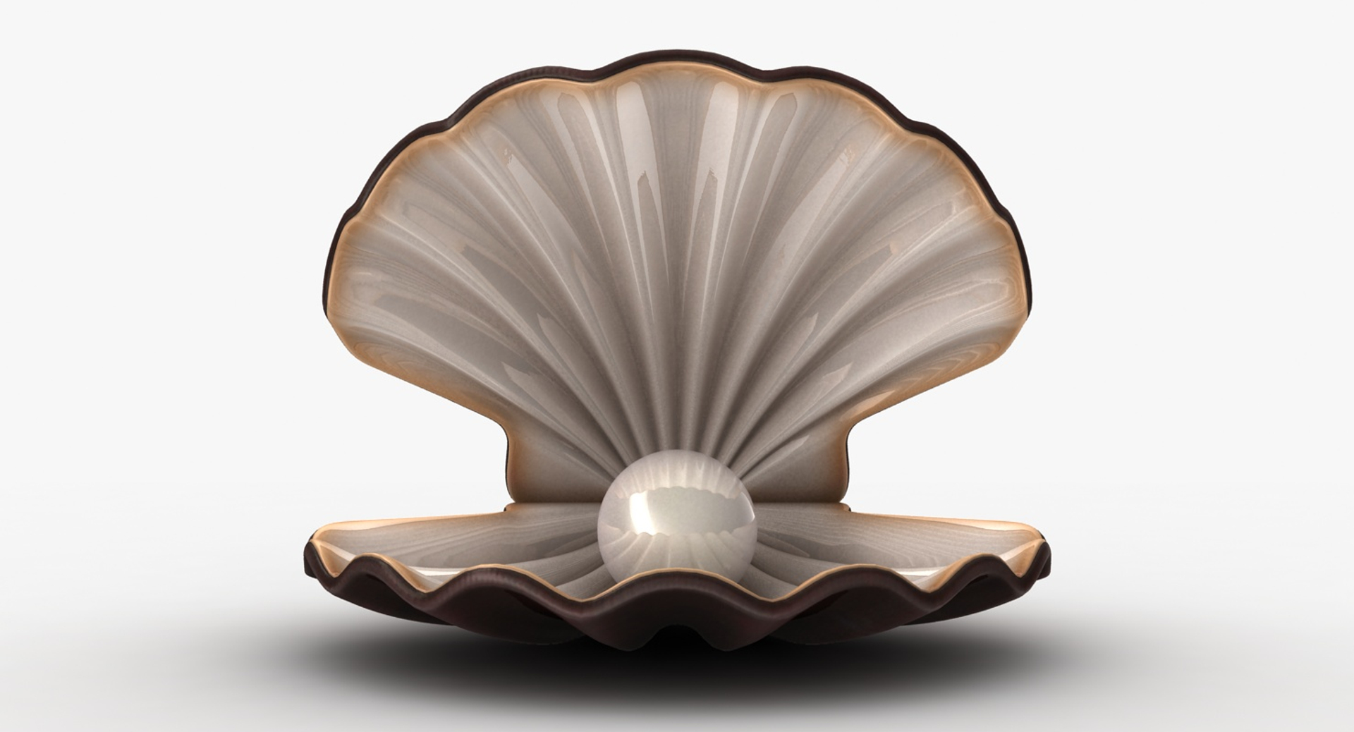 Pearl Shell Animation 3d Max