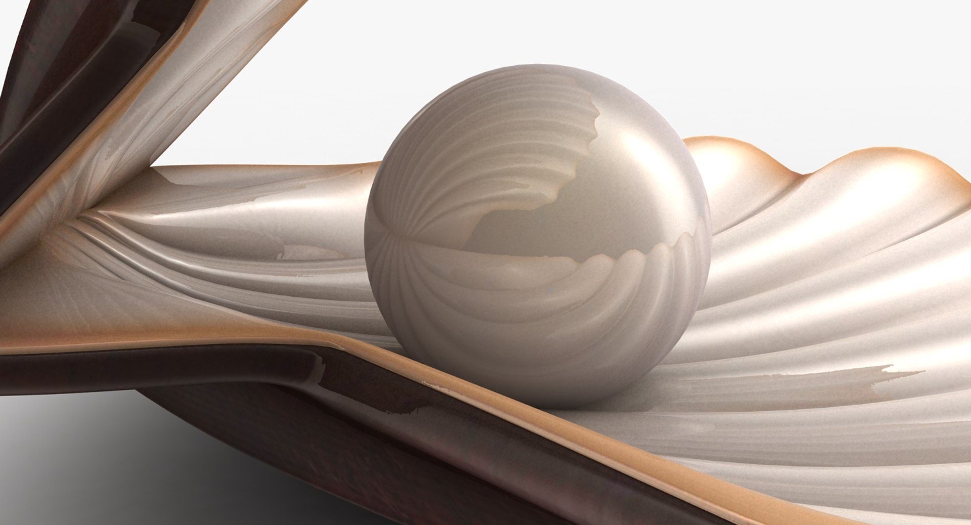 Pearl Shell Animation 3d Max