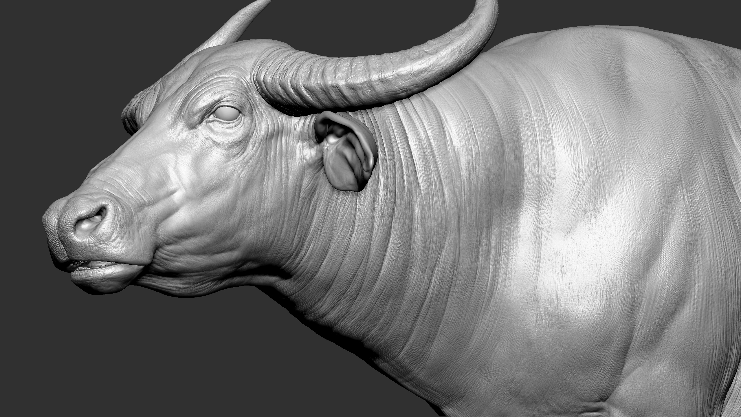 Wasserbüffel Bubalus bubalis Asiatische VFX Zbrush Digitale Skulptur 3D ...