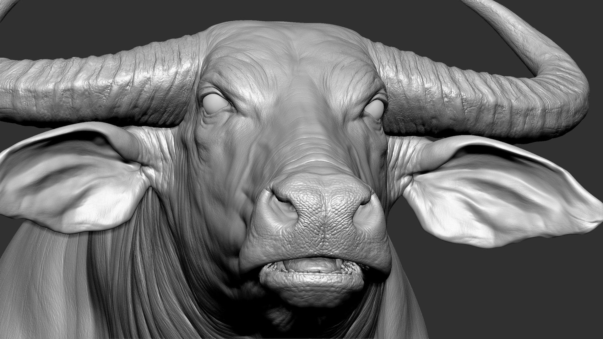 Water Buffalo Bubalus Bubalis Asian VFX Zbrush Digitale Sculpture Model - TurboSquid 1798456
