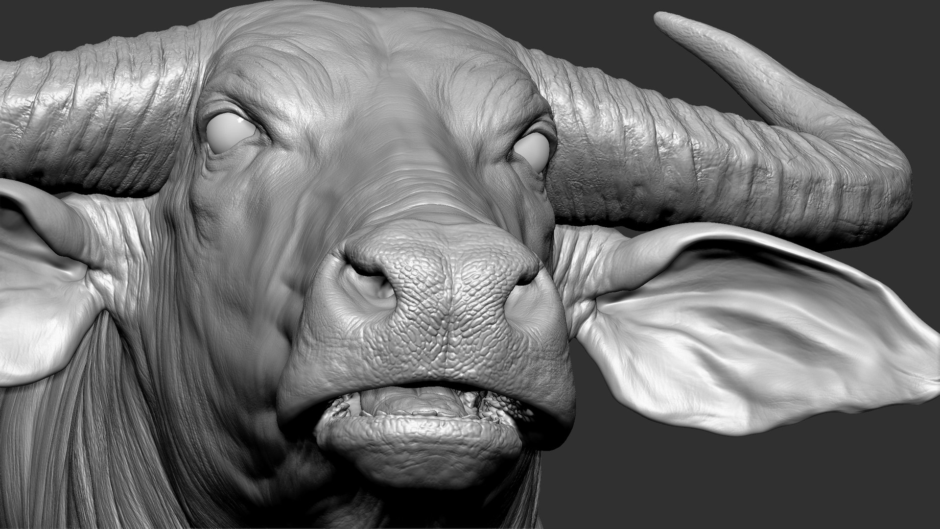 Water Buffalo Bubalus Bubalis Asian VFX Zbrush Digitale Sculpture Model - TurboSquid 1798456