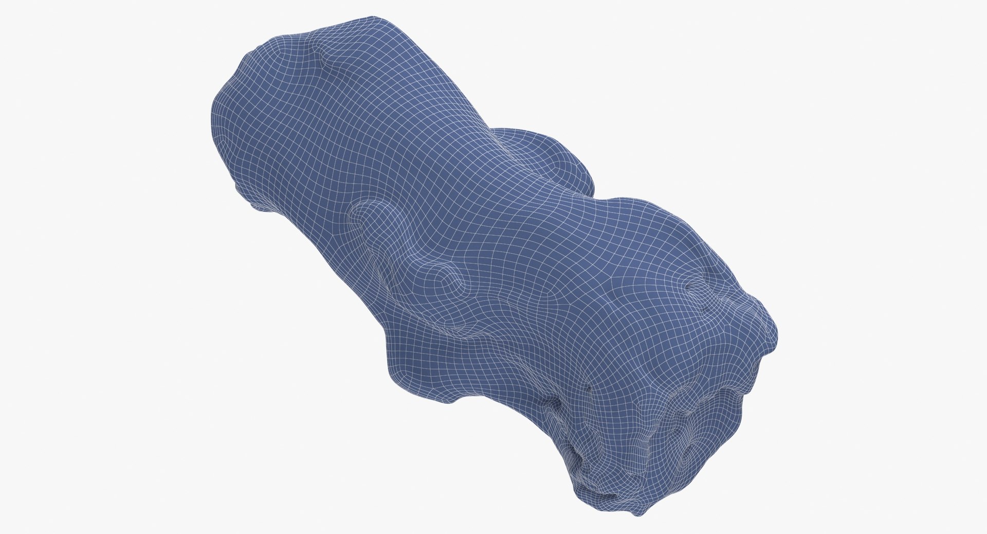 Pavian Monkey Male Calcaneus Bone 01 3D model - TurboSquid 2071813