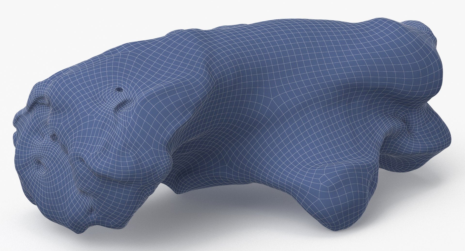 Pavian Monkey Male Calcaneus Bone 01 3D model - TurboSquid 2071813