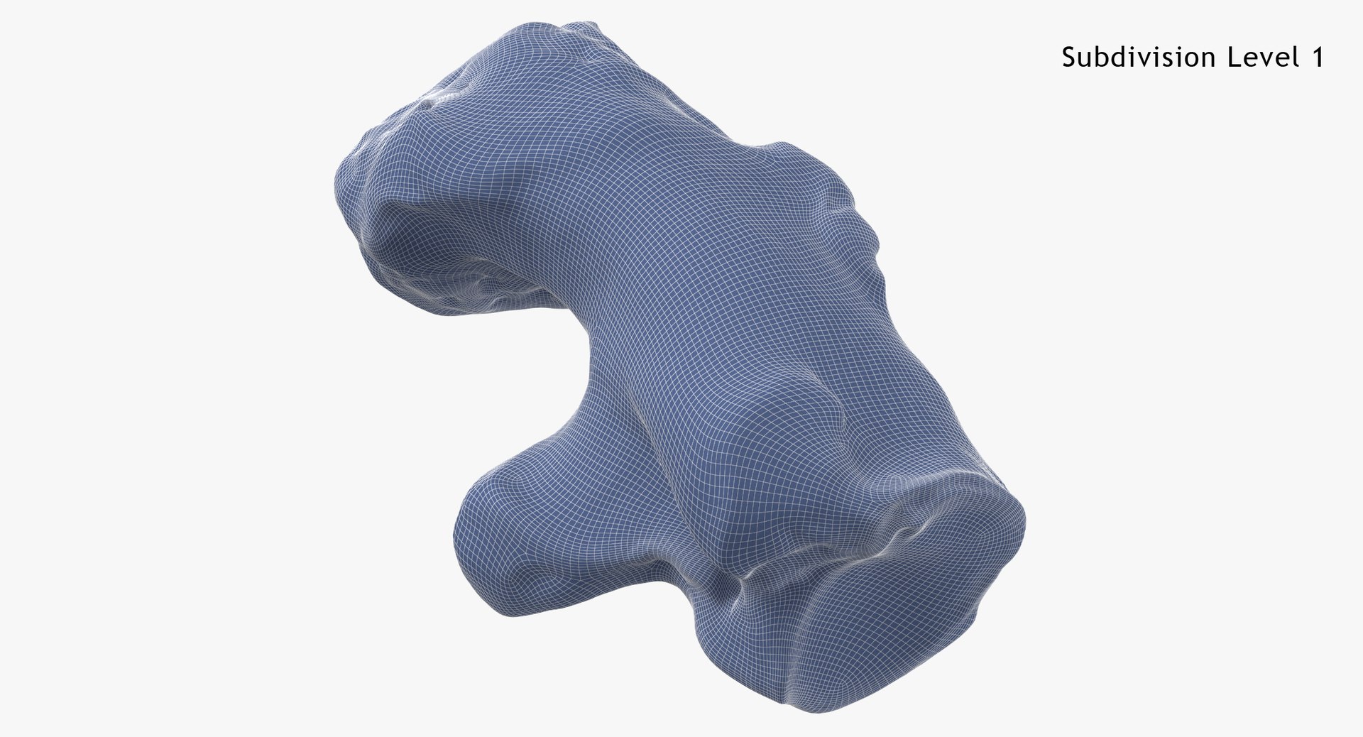 Pavian Monkey Male Calcaneus Bone 01 3D model - TurboSquid 2071813