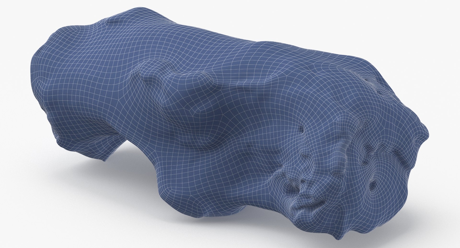 Pavian Monkey Male Calcaneus Bone 01 3D model - TurboSquid 2071813