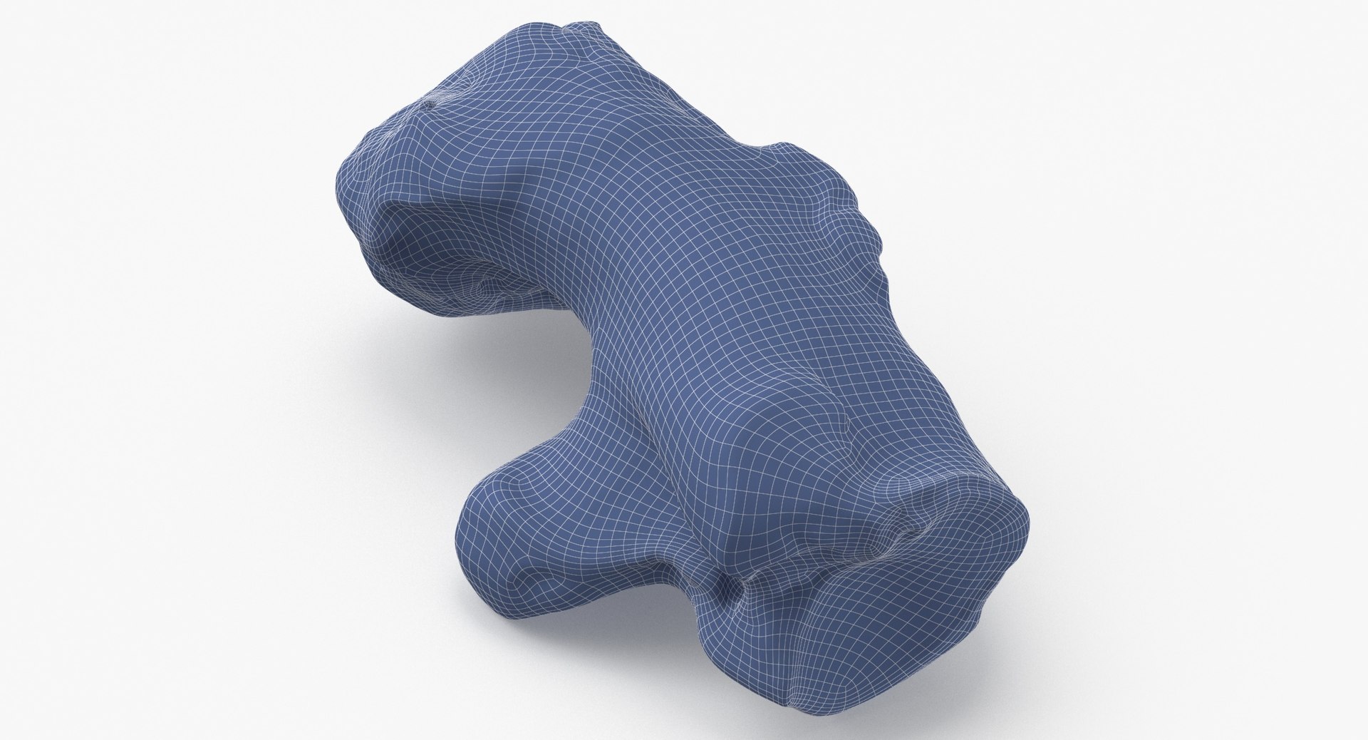 Pavian Monkey Male Calcaneus Bone 01 3D model - TurboSquid 2071813