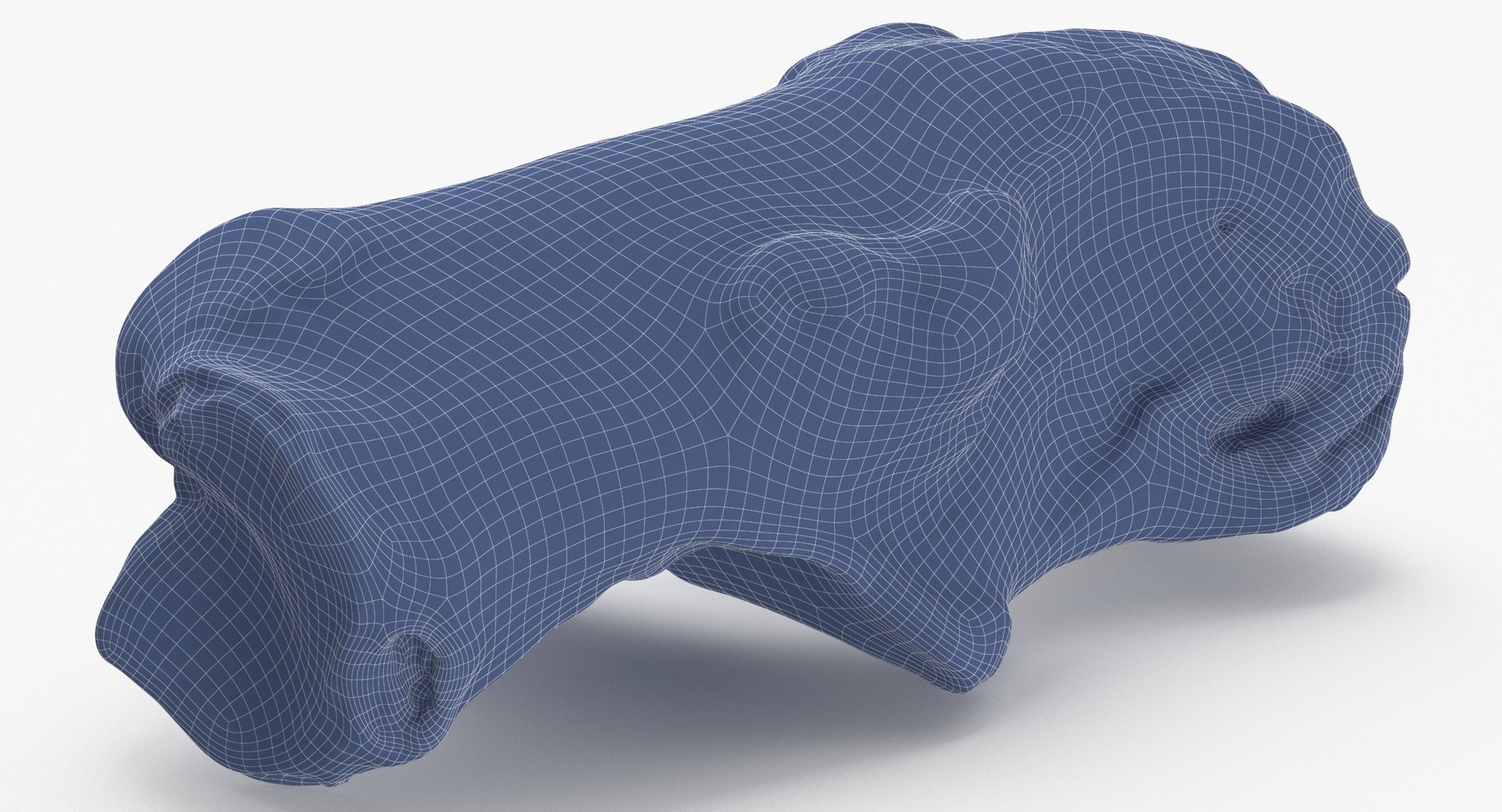 Pavian Monkey Male Calcaneus Bone 01 3D model - TurboSquid 2071813