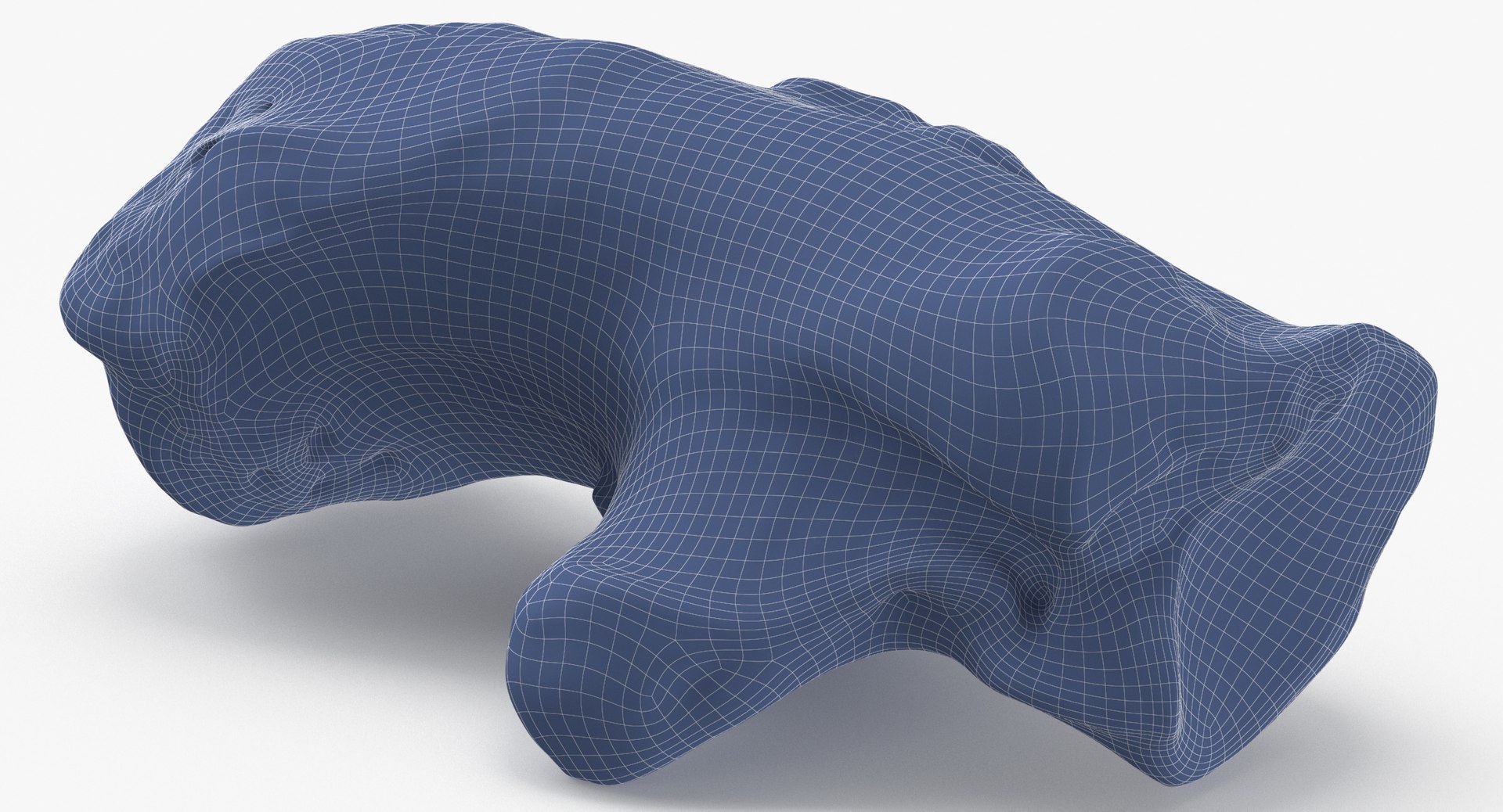 Pavian Monkey Male Calcaneus Bone 01 3D model - TurboSquid 2071813