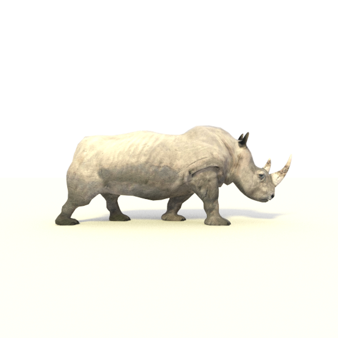 Rhinoceros Animation X