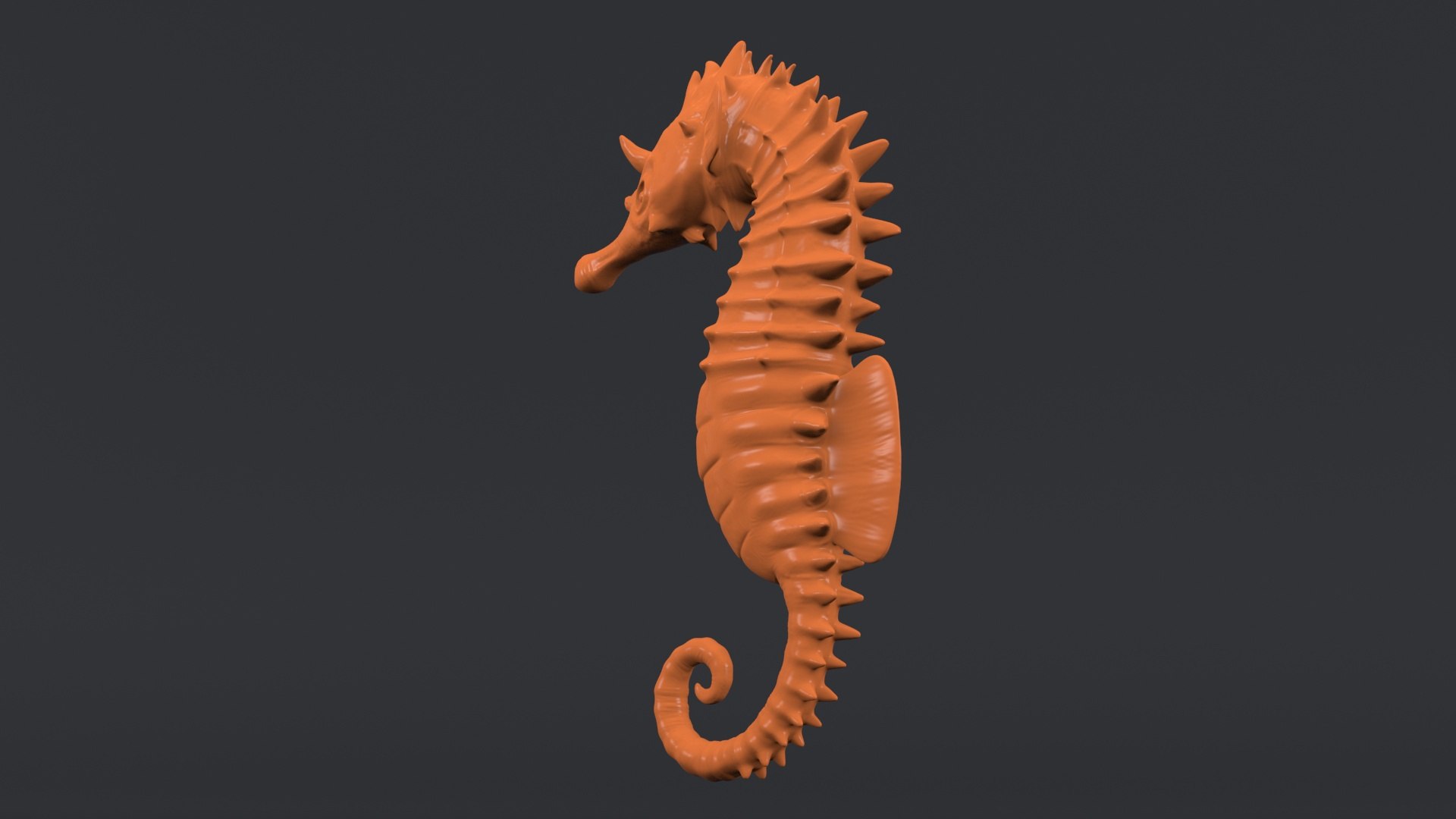 SEA-HORSE 3D Model - TurboSquid 1903400