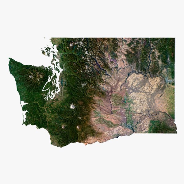 modelo 3d Washington State Terrain Map - TurboSquid 2087032
