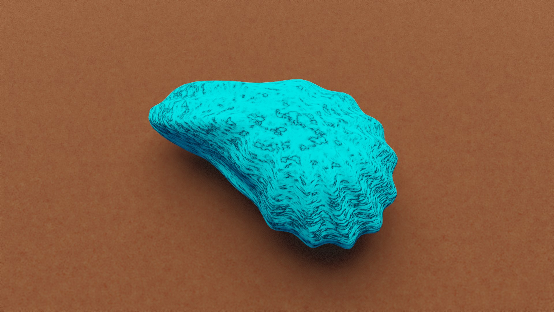 3D Model OYSTER SHELL - TurboSquid 1898577