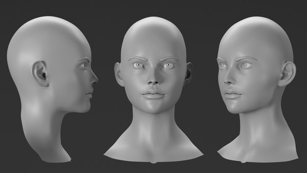 modelo 3d Basemesh Female Shape - TurboSquid 1923104