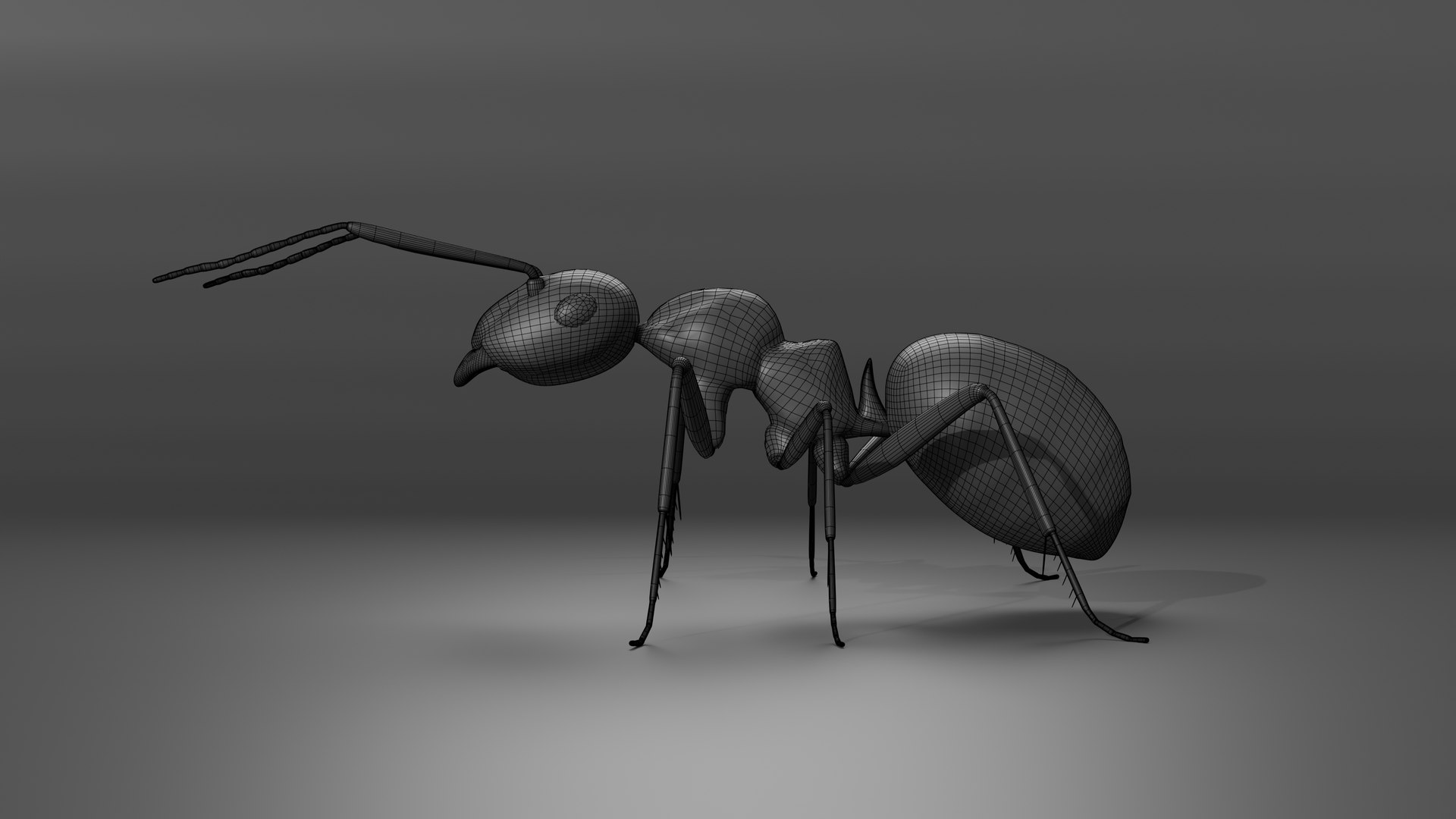 Ant 3D Model Rigged 3D - TurboSquid 2337879