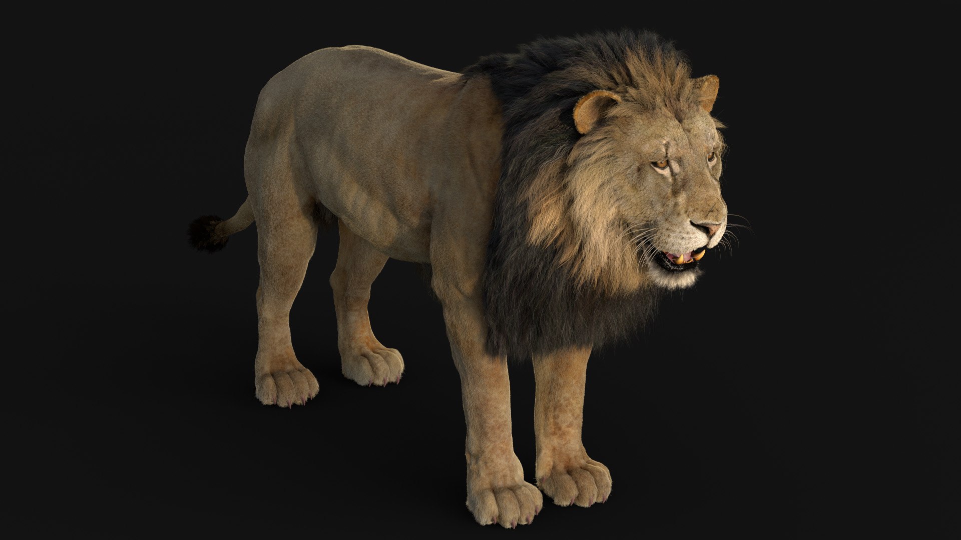 3D lion rigged redshift model - TurboSquid 1492823