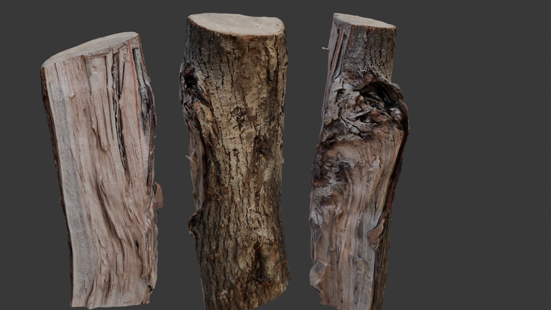 3D Tree Log 3D Scan - TurboSquid 2404924