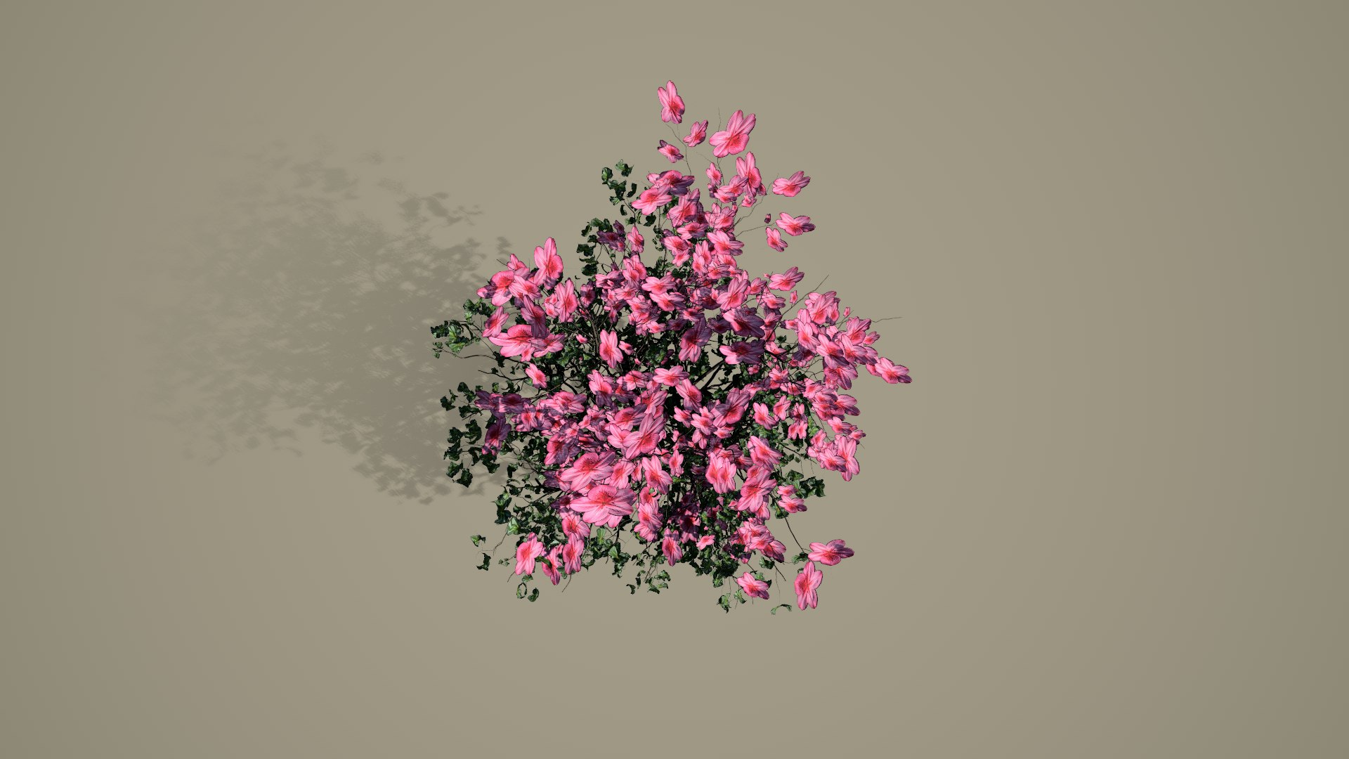 Azalea Plant Model - TurboSquid 2329585