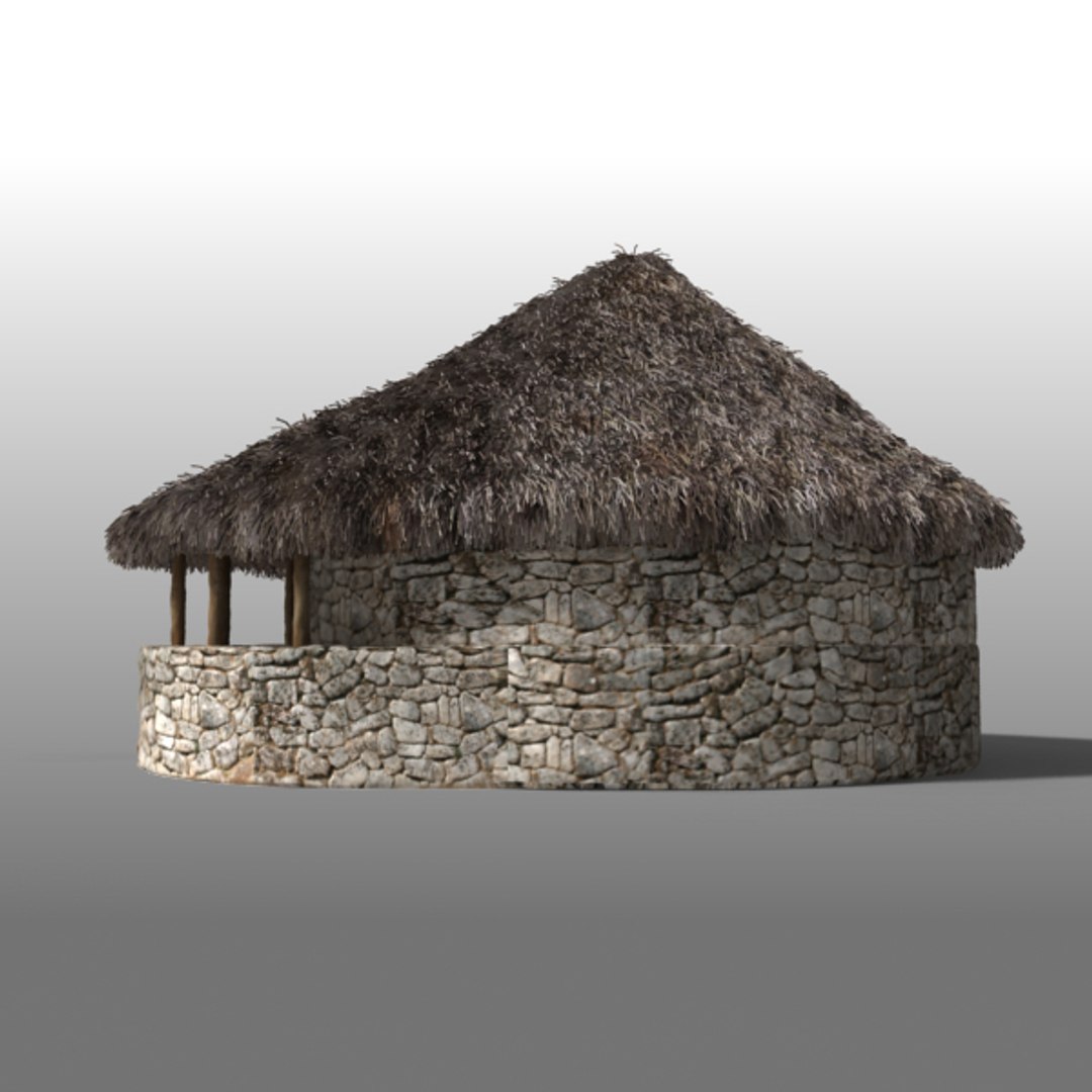 Max Iron Age House