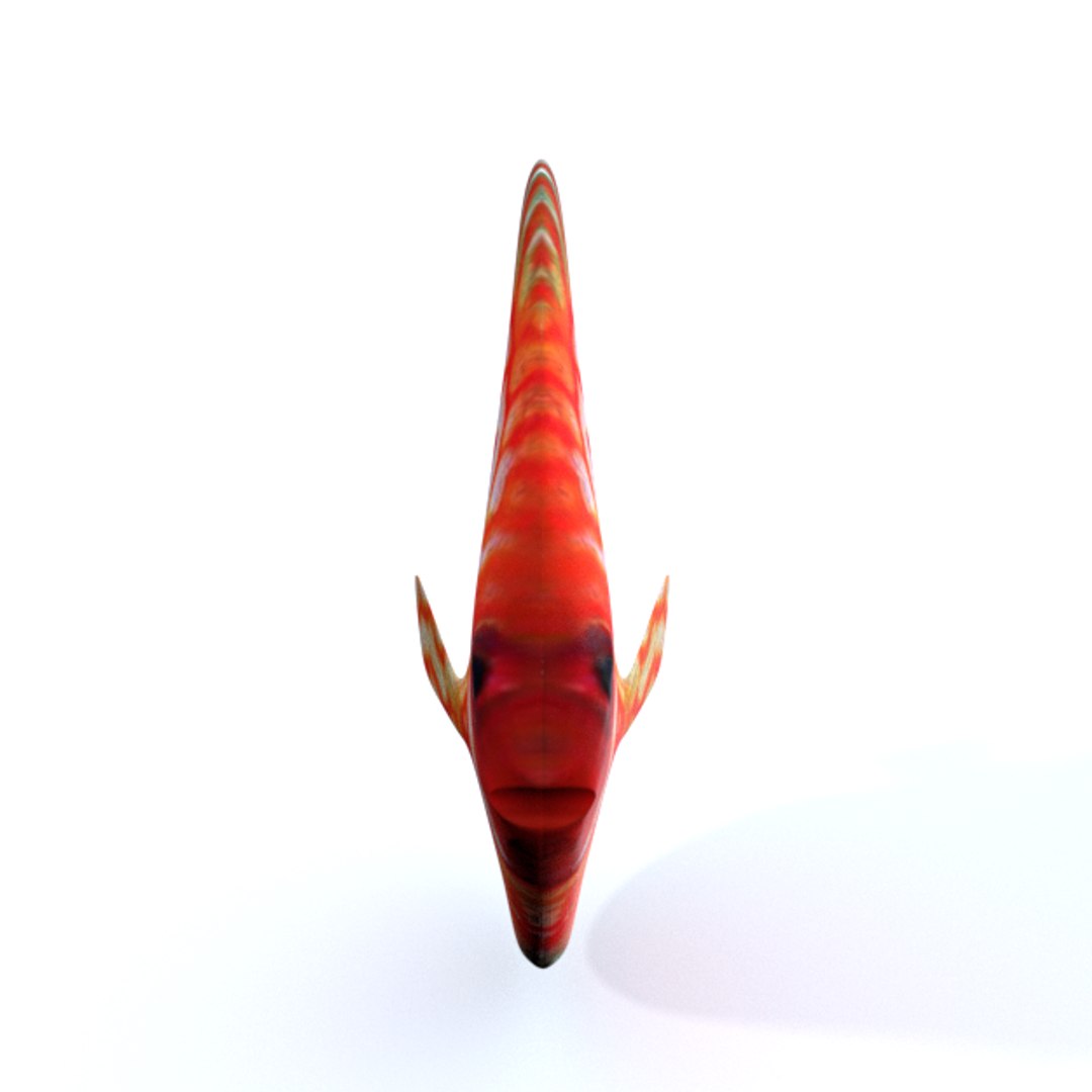 Disco Fish Model - TurboSquid 1316769