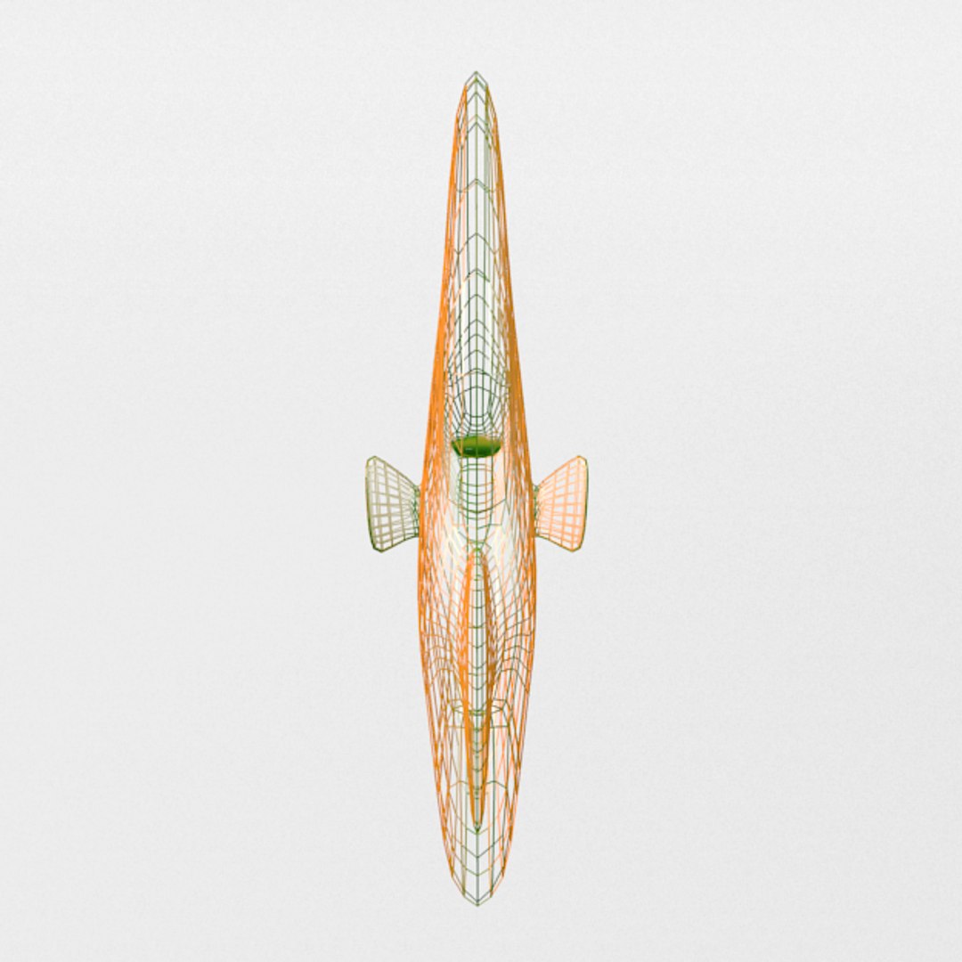 Disco Fish Model - TurboSquid 1316769