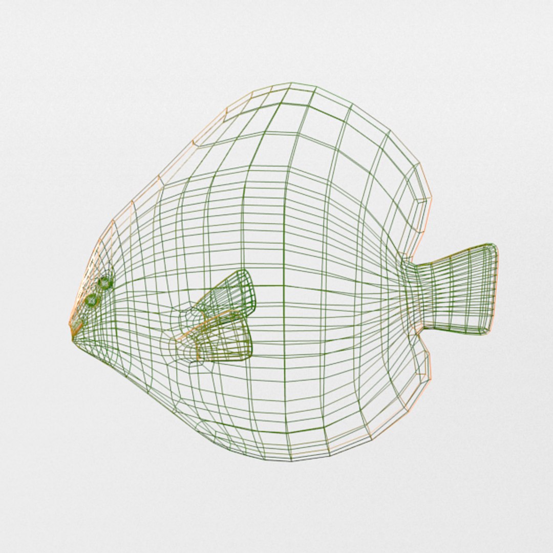 Disco Fish Model - TurboSquid 1316769