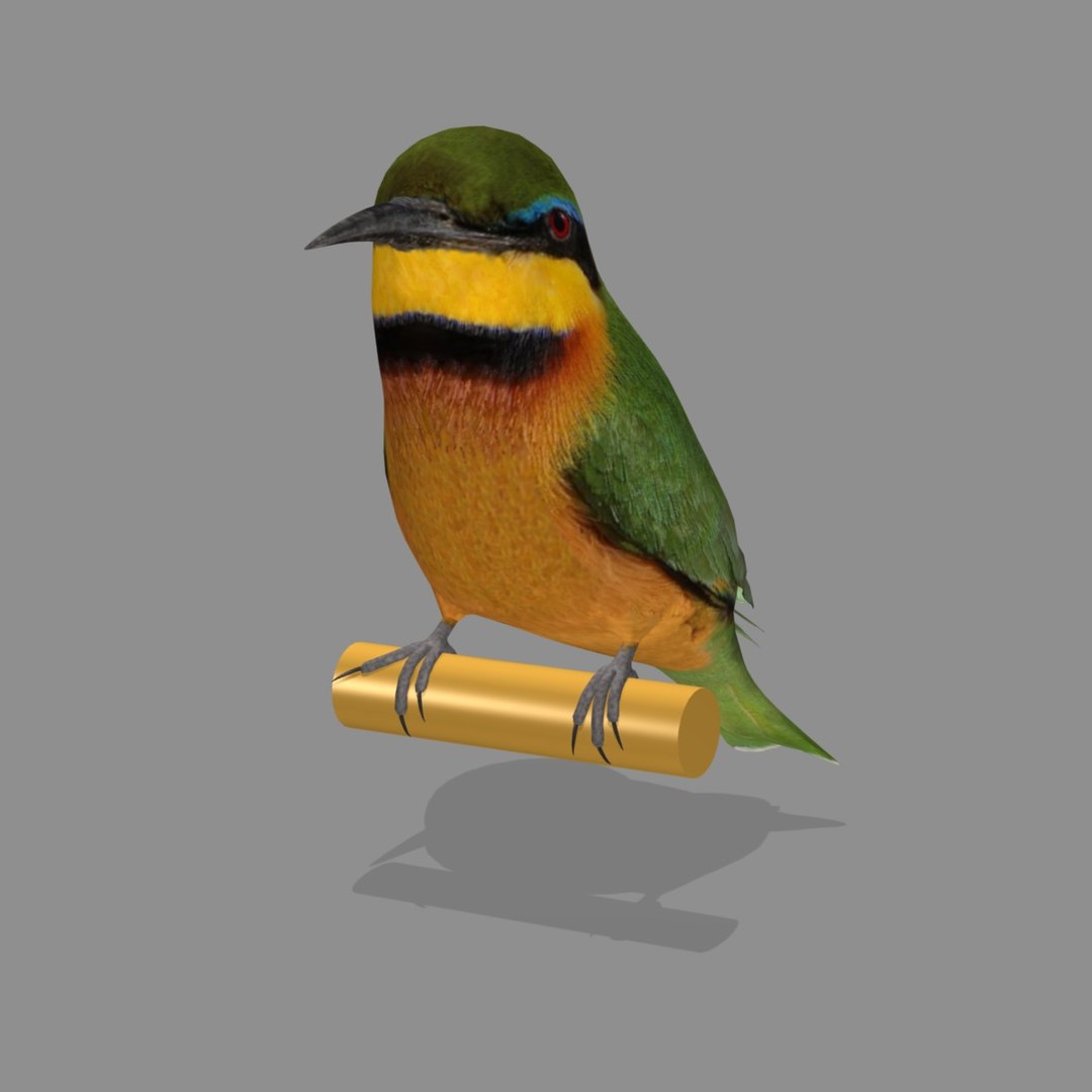 3d Little Bee Eater Birds