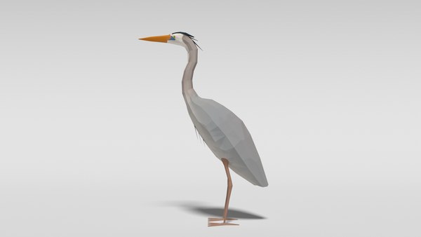 3D exotic birds - TurboSquid 1511800