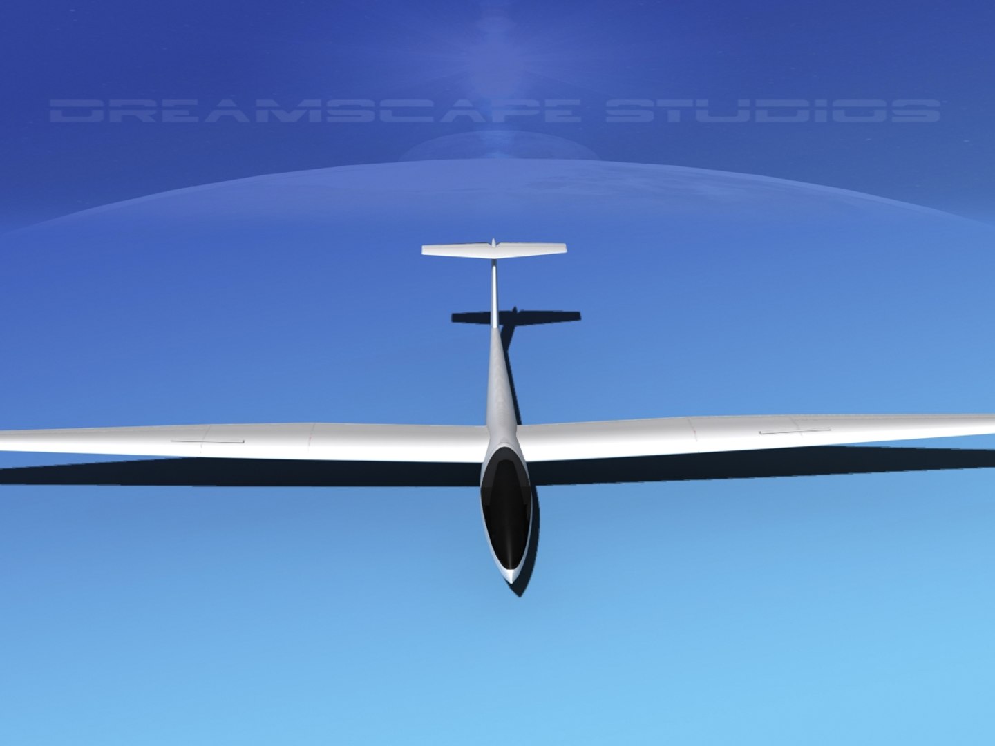 3d Dg-300 Glider Model