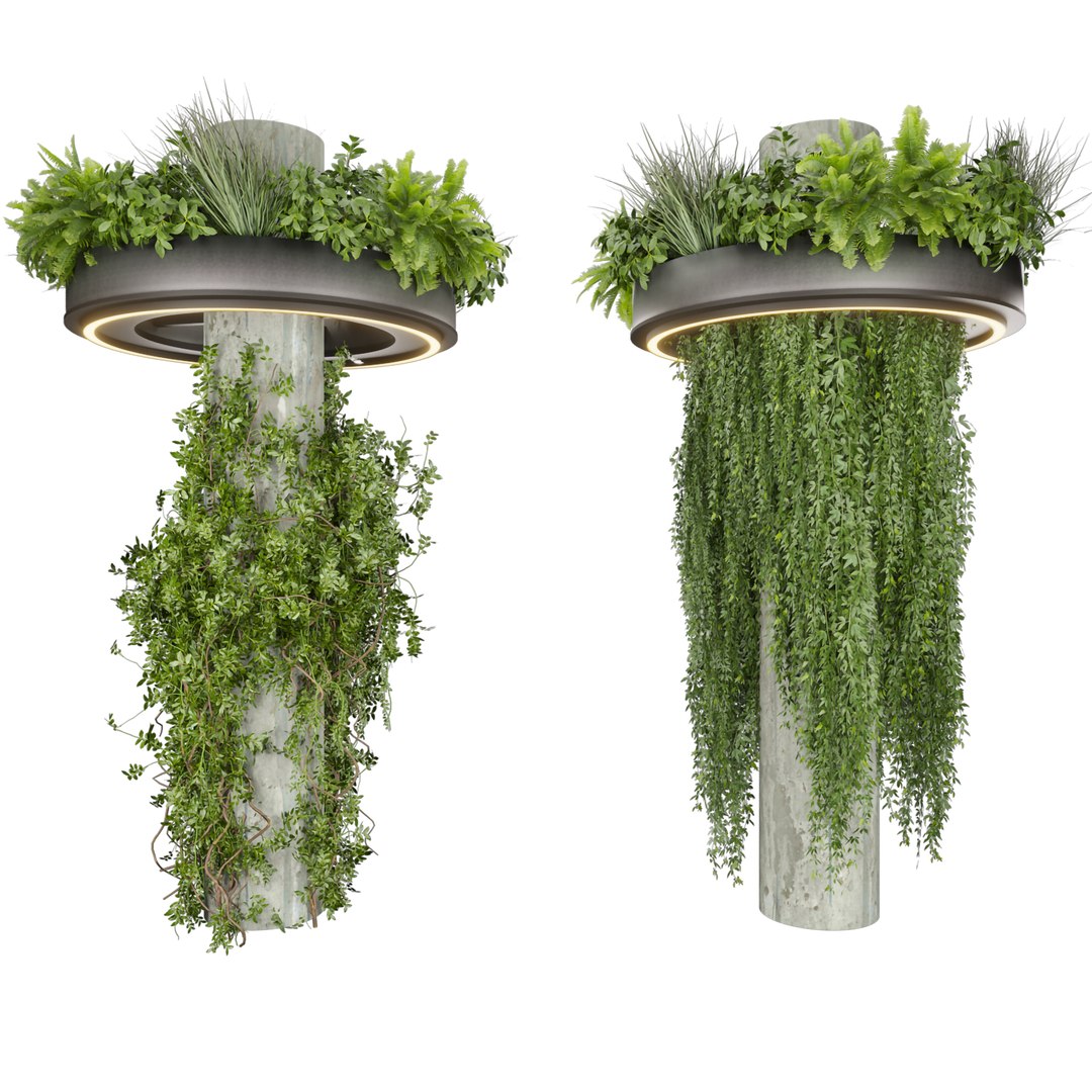 Collection Plant Vol 532 - Bush - Ampelous - Column - Fitowall - Ivy ...
