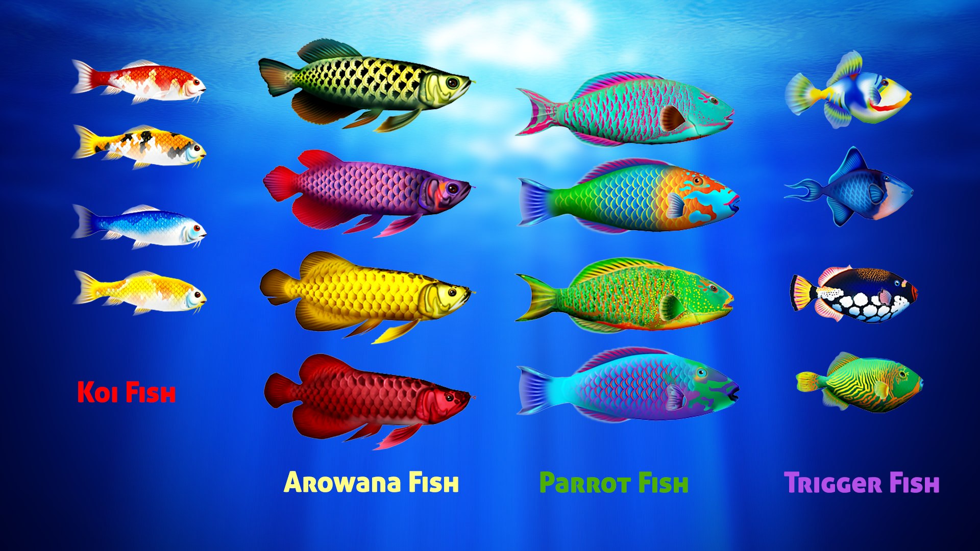 3d Model Of Pack Fishes