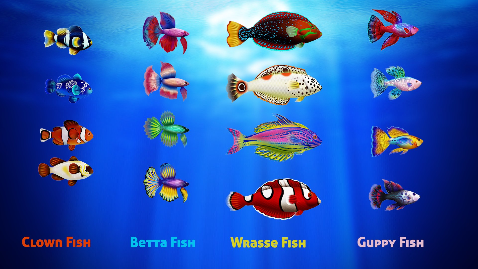 3d Model Of Pack Fishes