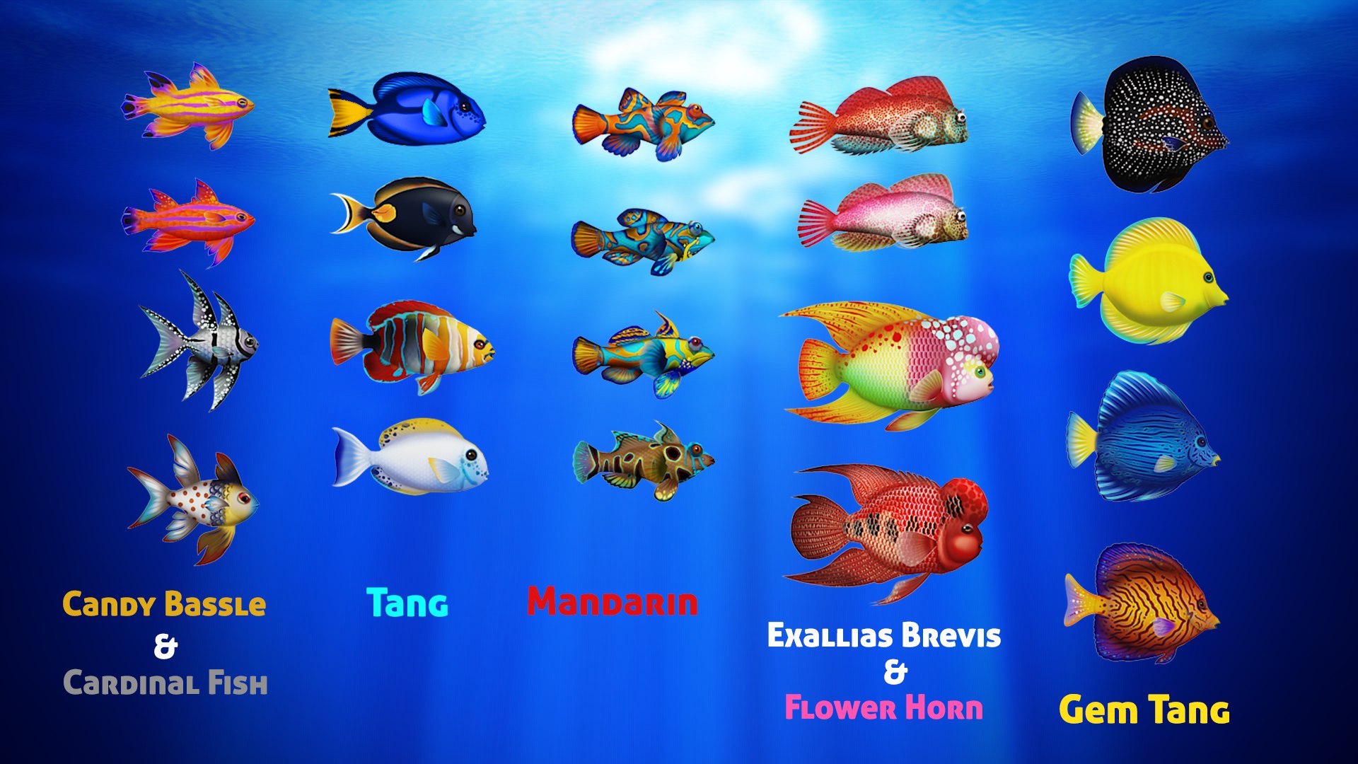3d Model Of Pack Fishes