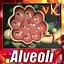 3ds Max Alveoli Anatomy