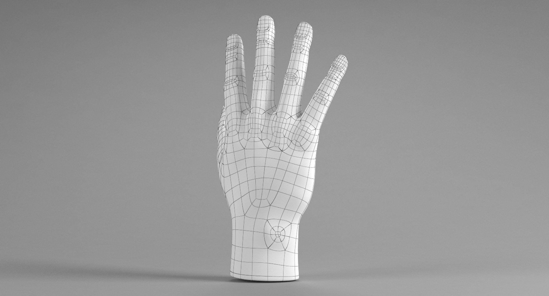 Hand Realistic 3d Model
