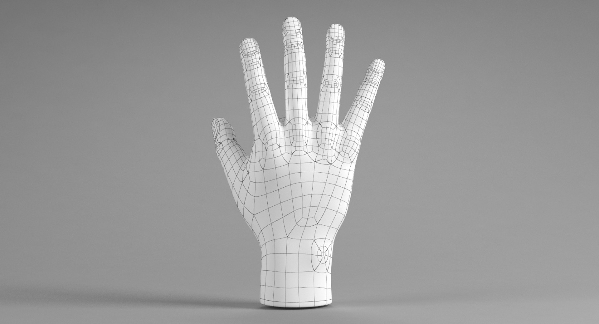 Hand Realistic 3d Model