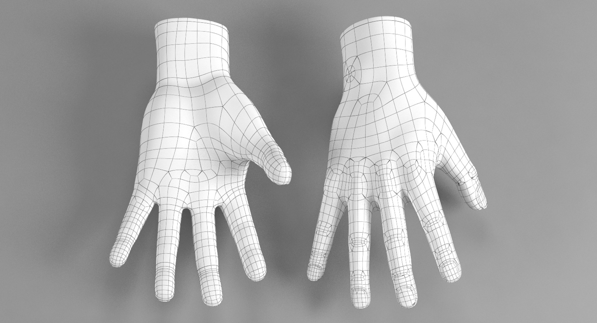 Hand Realistic 3d Model