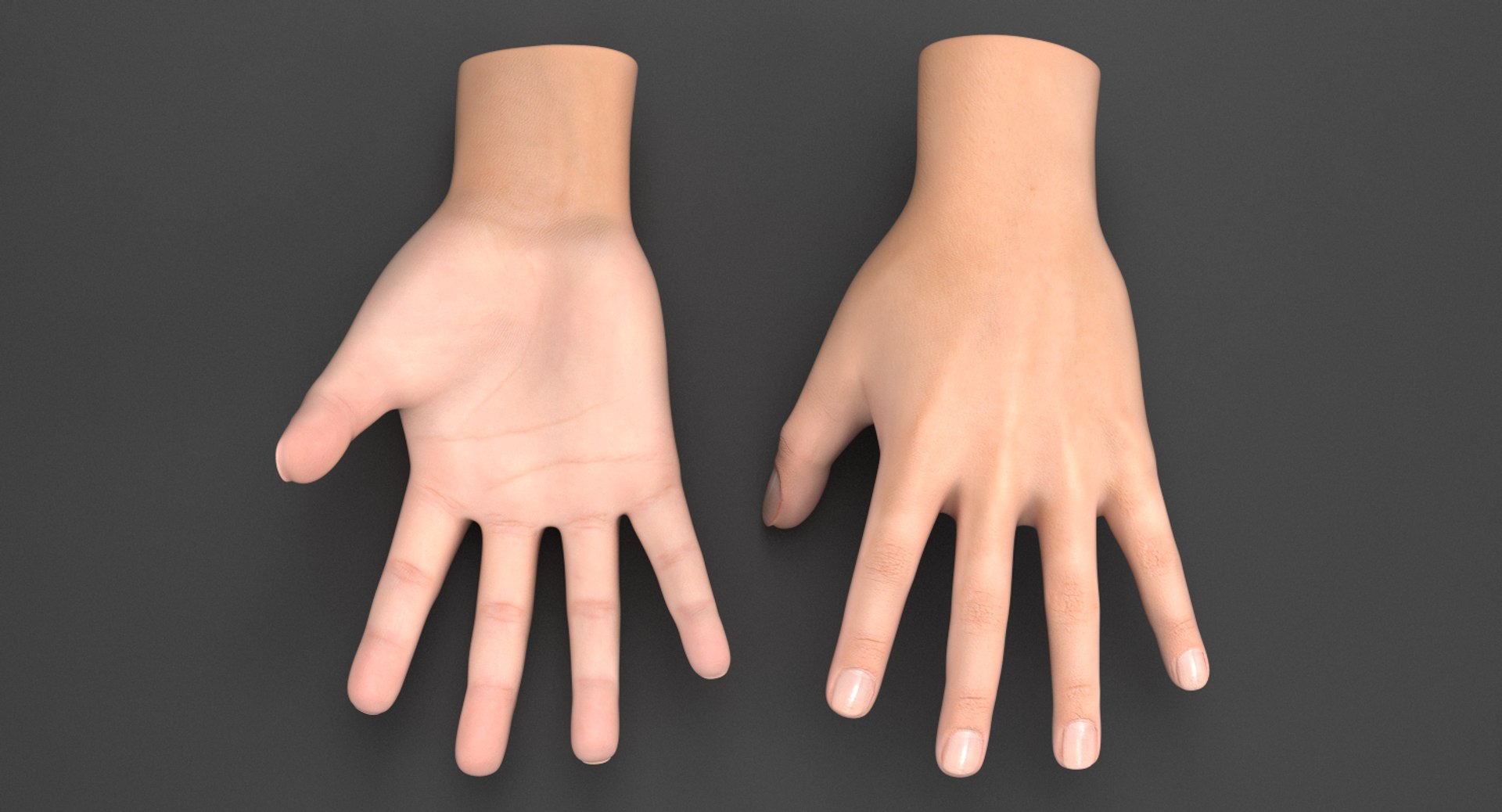 Hand Realistic 3d Model