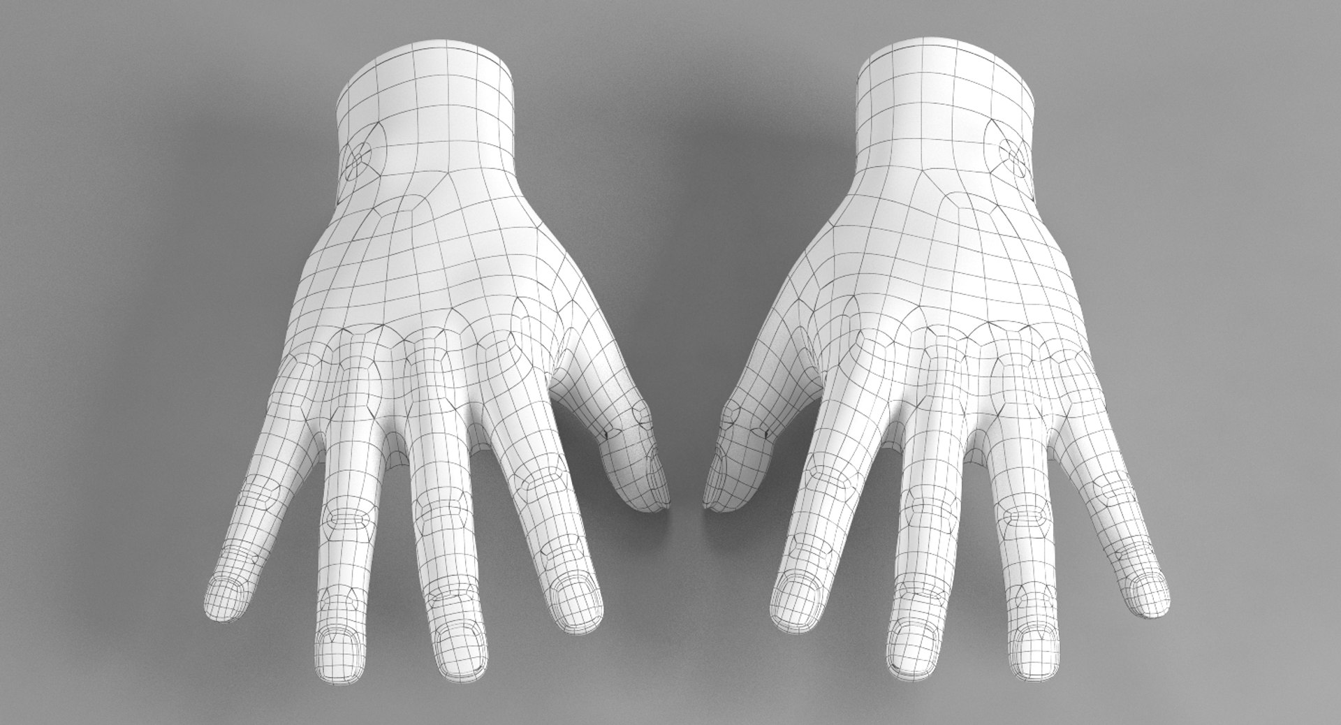 Hand Realistic 3d Model