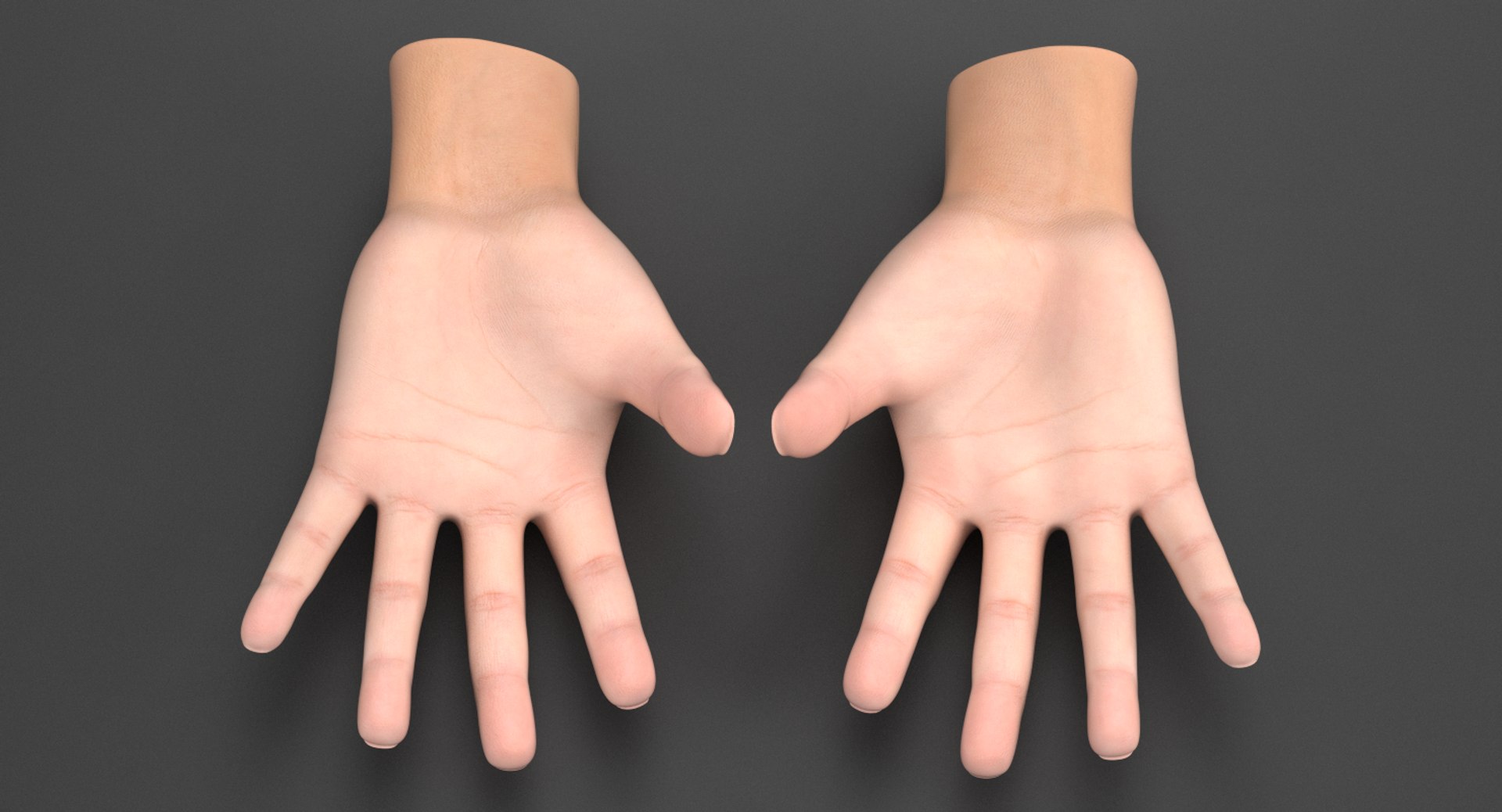 Hand Realistic 3d Model