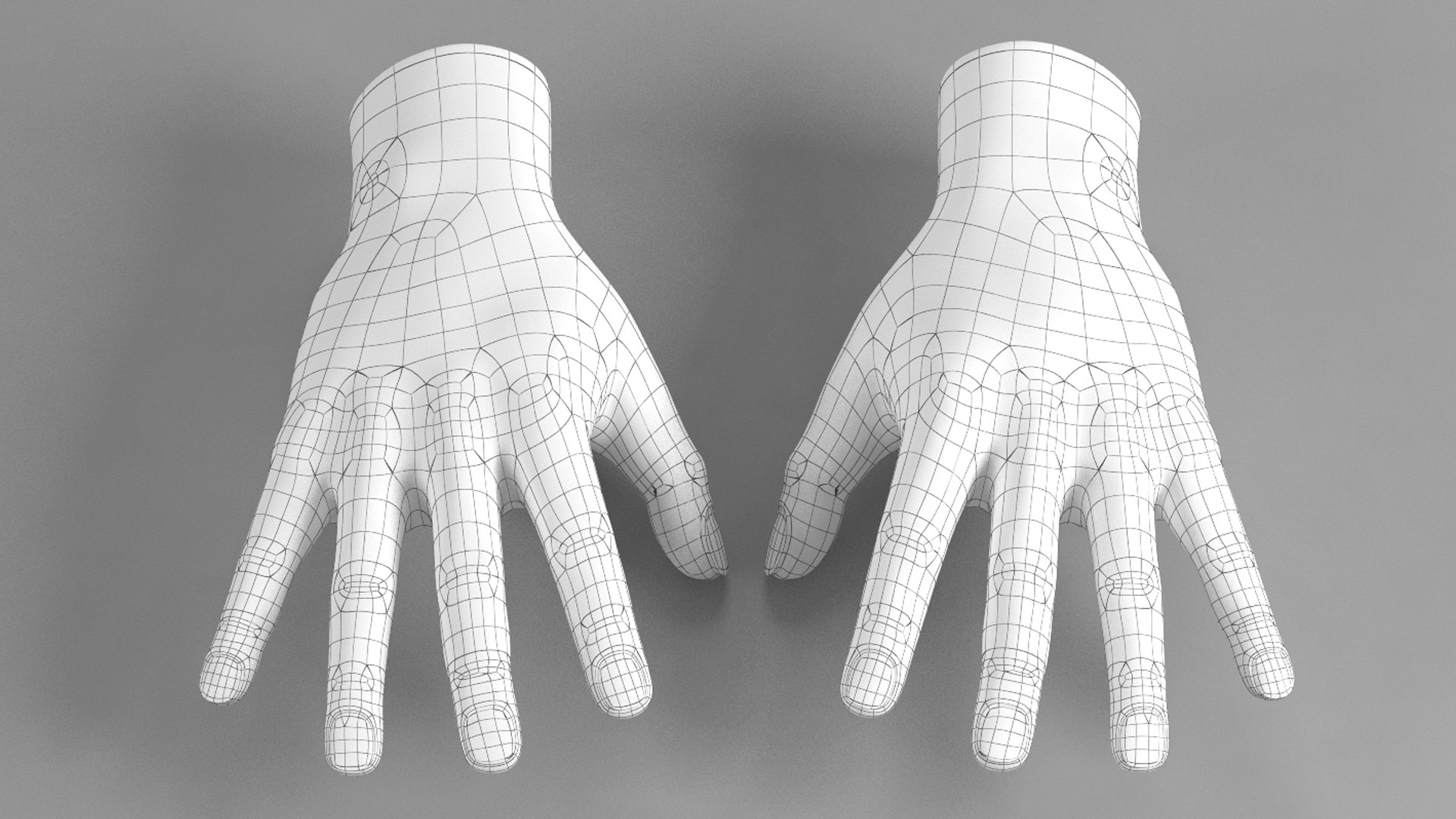 Hand Realistic 3d Model