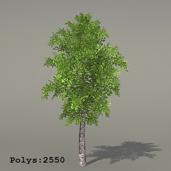 tree 3d 3ds