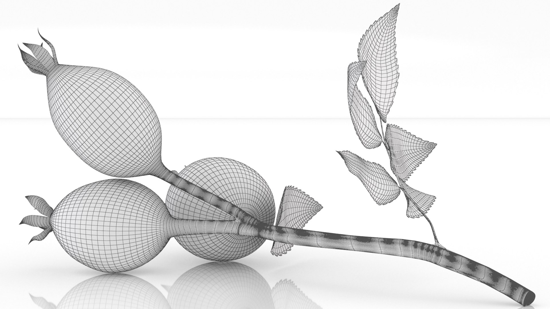 Rosehips Berry Rose Hip 3D Model - TurboSquid 1645211