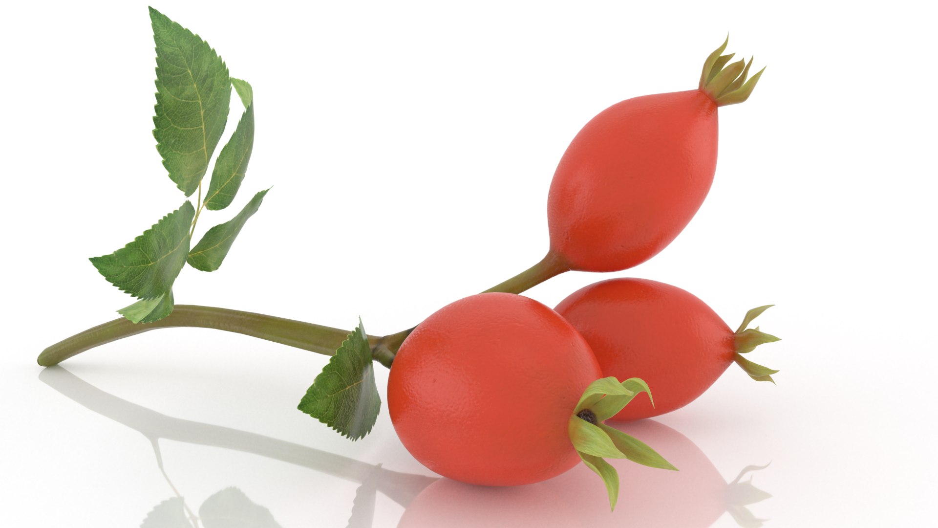 Rosehips Berry Rose Hip 3D Model - TurboSquid 1645211