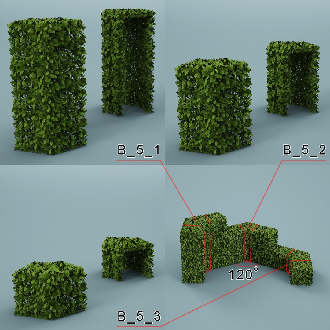 Garden Bush 3d Model