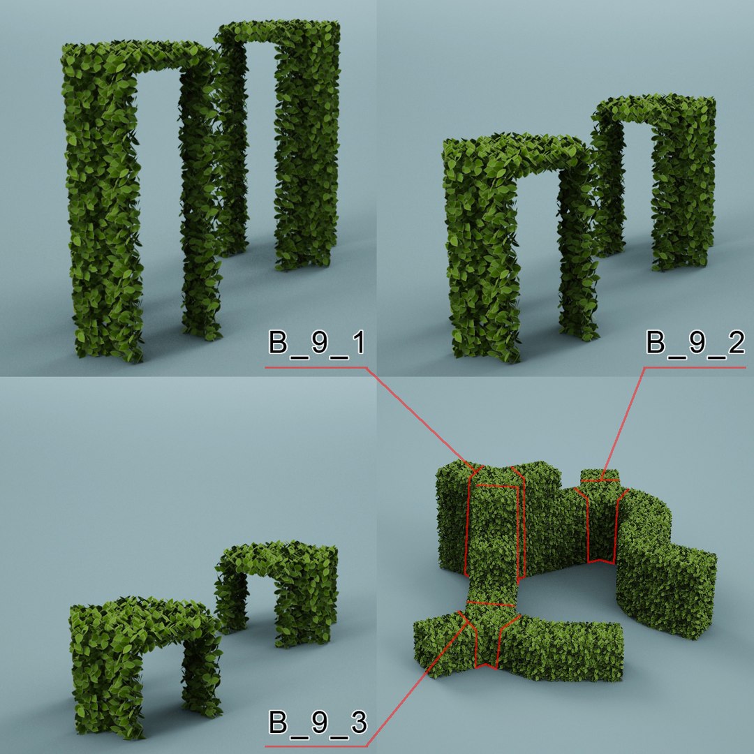 Garden Bush 3d Model