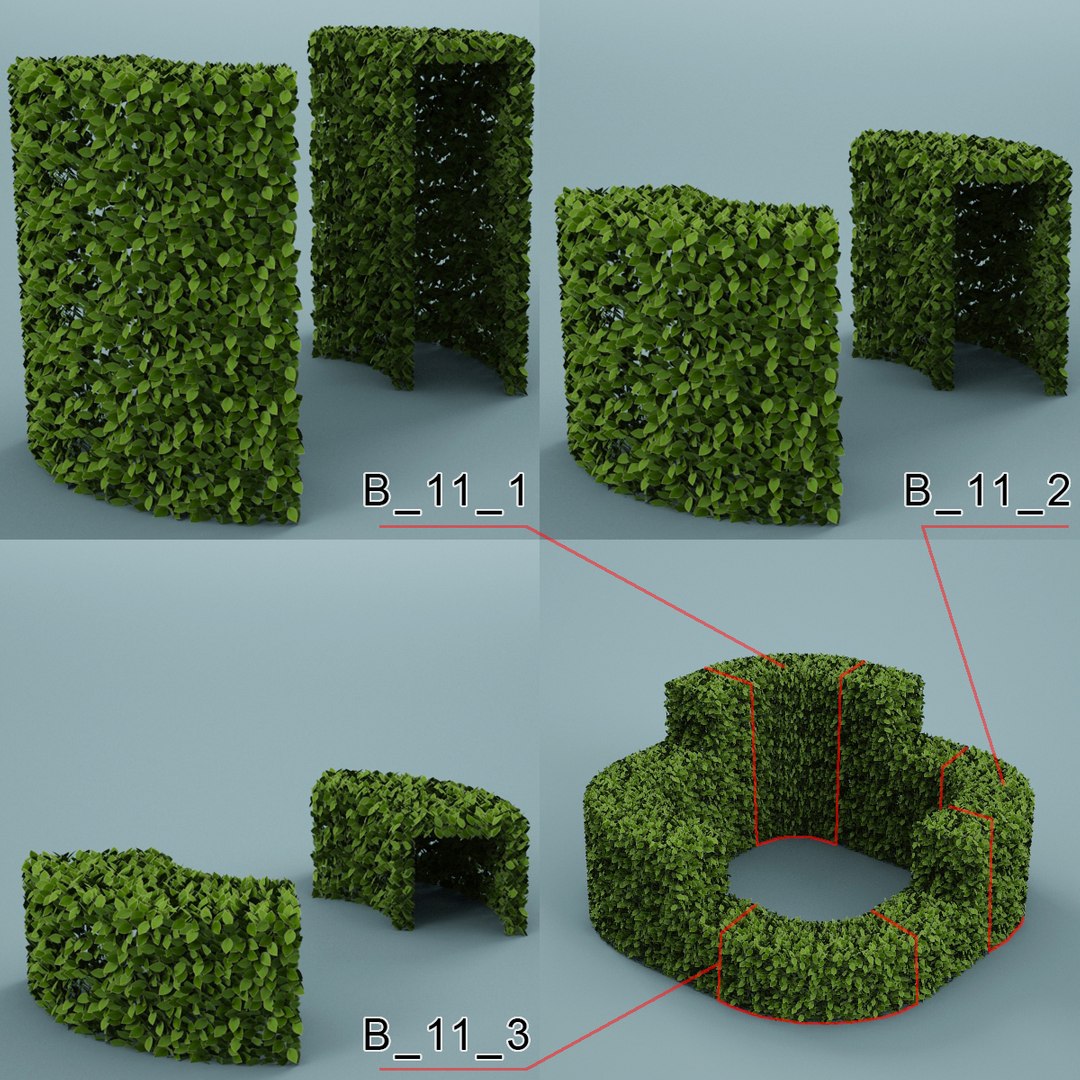 Garden Bush 3d Model