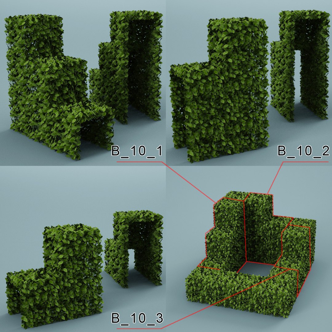 Garden Bush 3d Model